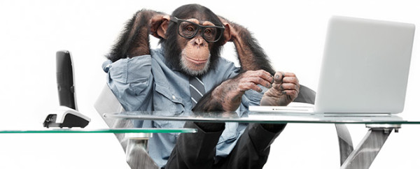 Monkey Madness Repair Discount | ALB Tech | We Fixed Computers